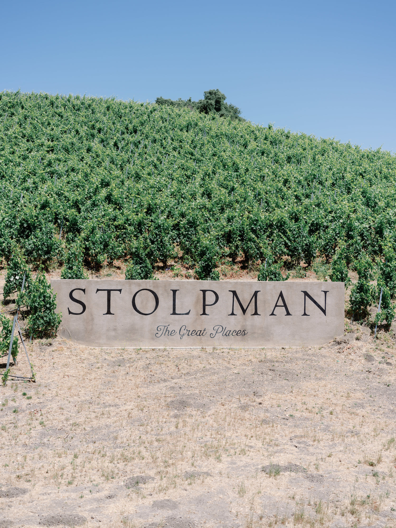 Michele & Tim's Sun-Kissed Celebration at Stolpman Winery - Tyler ...