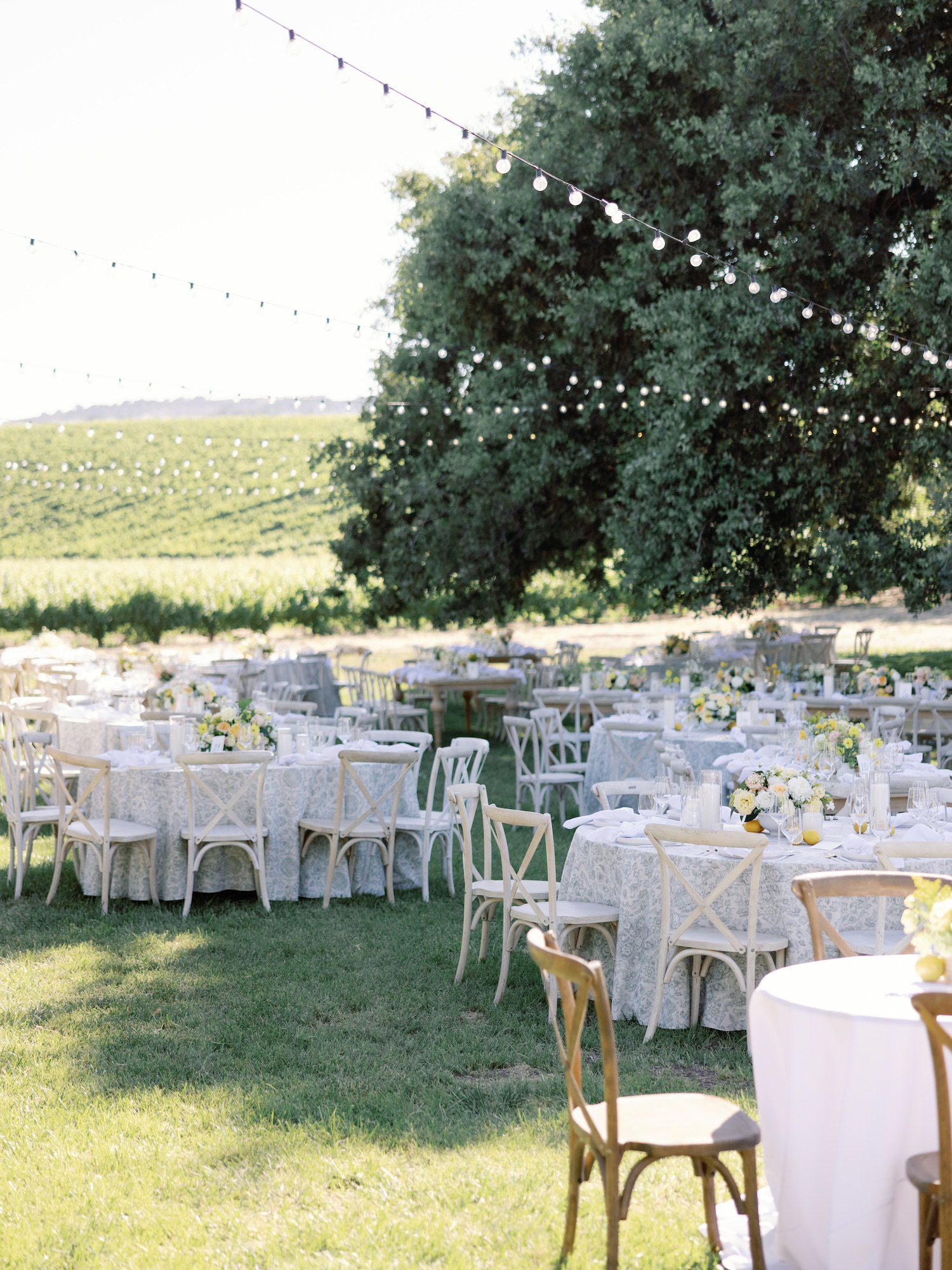 Michele & Tim's Sun-Kissed Celebration at Stolpman Winery - Tyler ...