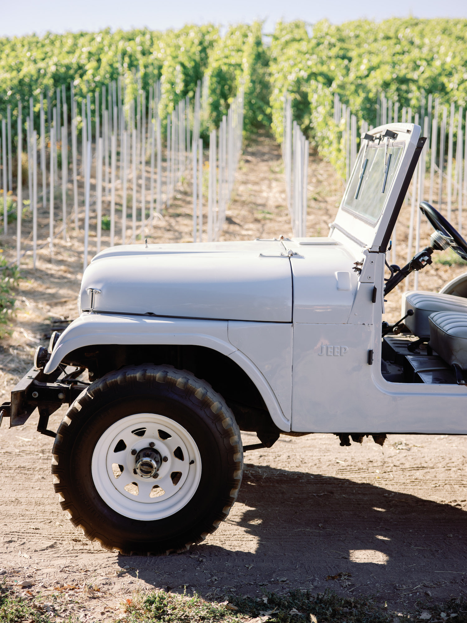 Michele & Tim's Sun-Kissed Celebration at Stolpman Winery - Tyler ...